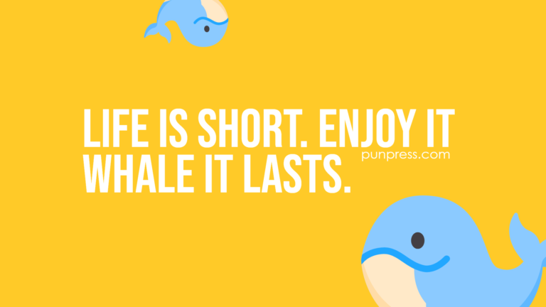 51 Whale Puns That Whale Make You Laugh - PunPress