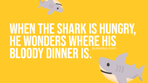50 Shark Puns That Are Both Terrifying And Funny - PunPress