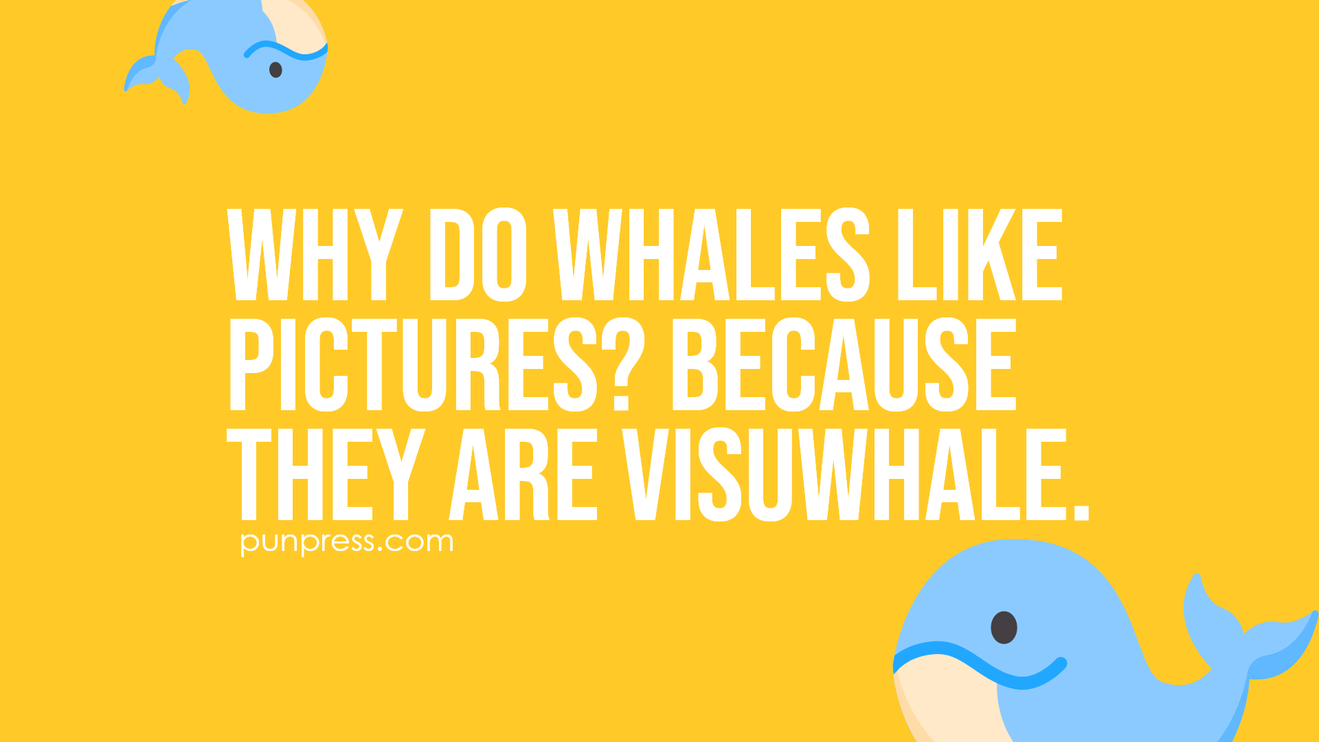 51 Whale Puns That Whale Make You Laugh - PunPress