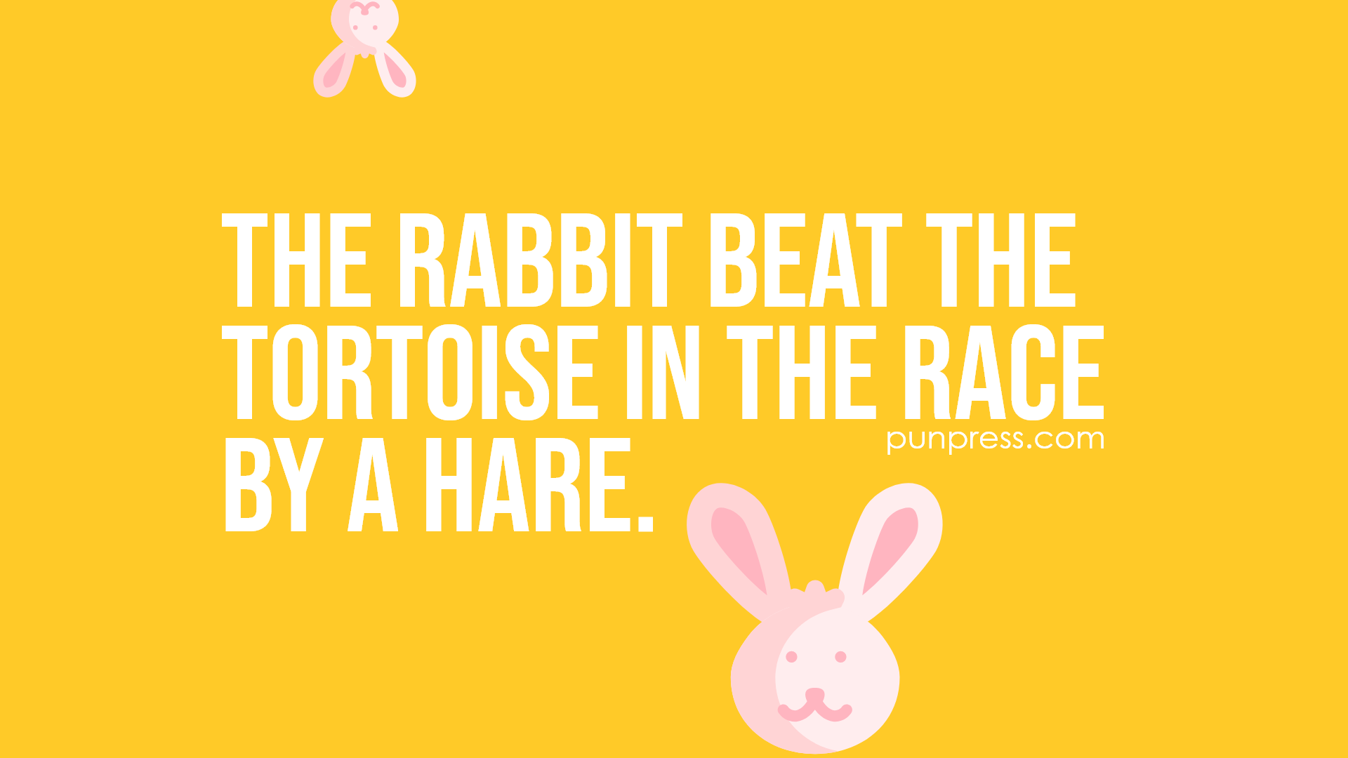 51 Hare Puns That Are Hare-larious - PunPress