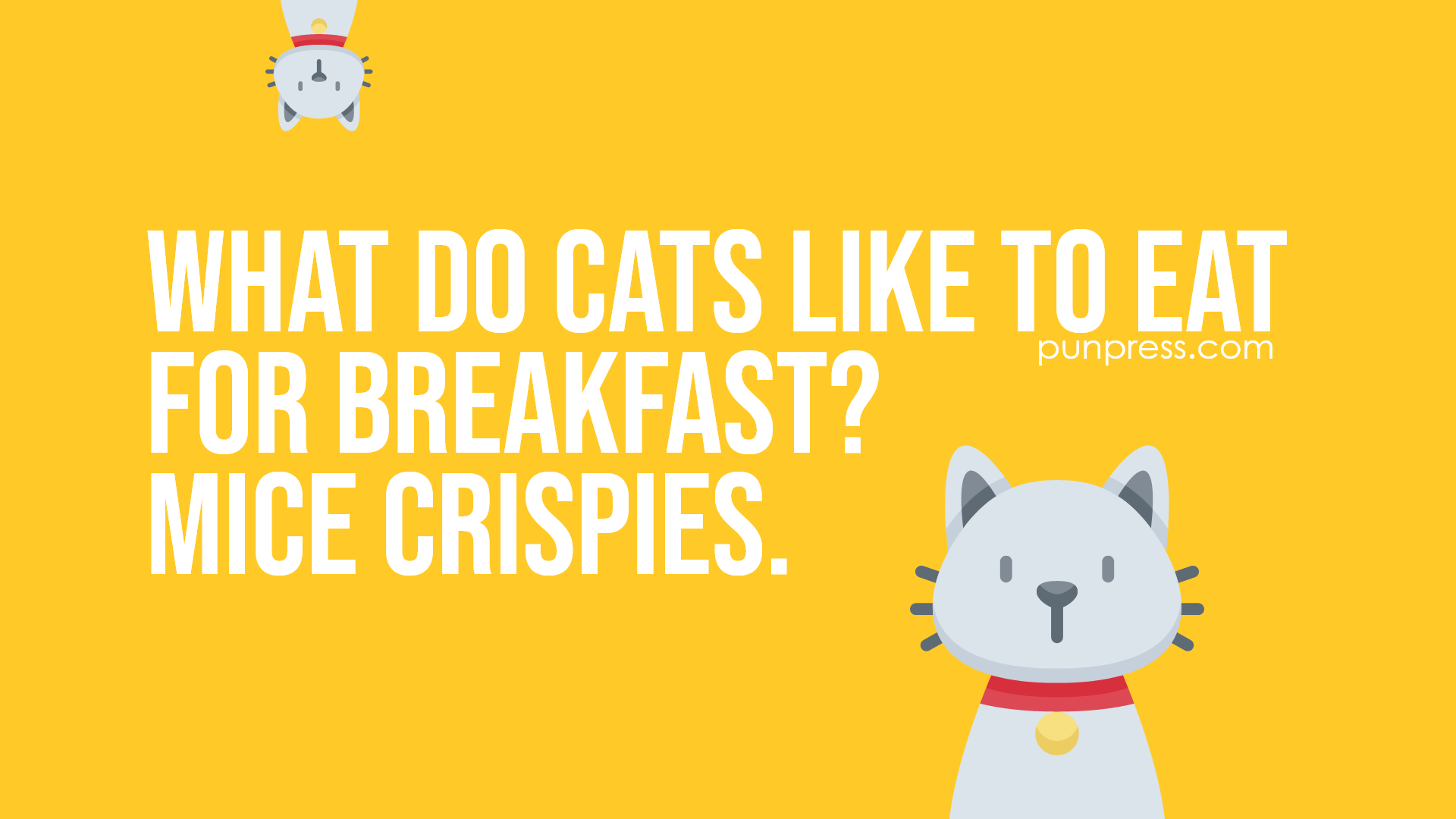 50 Cat Puns That Are Purrfectly Funny - PunPress
