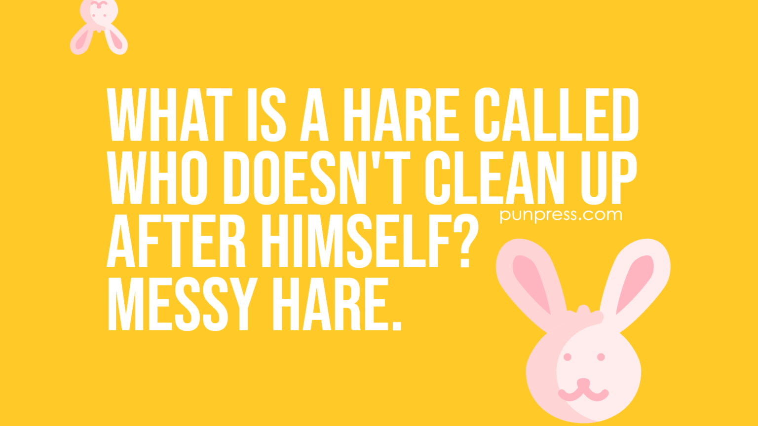 51 Hare Puns That Are Hare-larious - PunPress