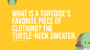 50 Turtle Puns That Are Very Spe-shell - PunPress
