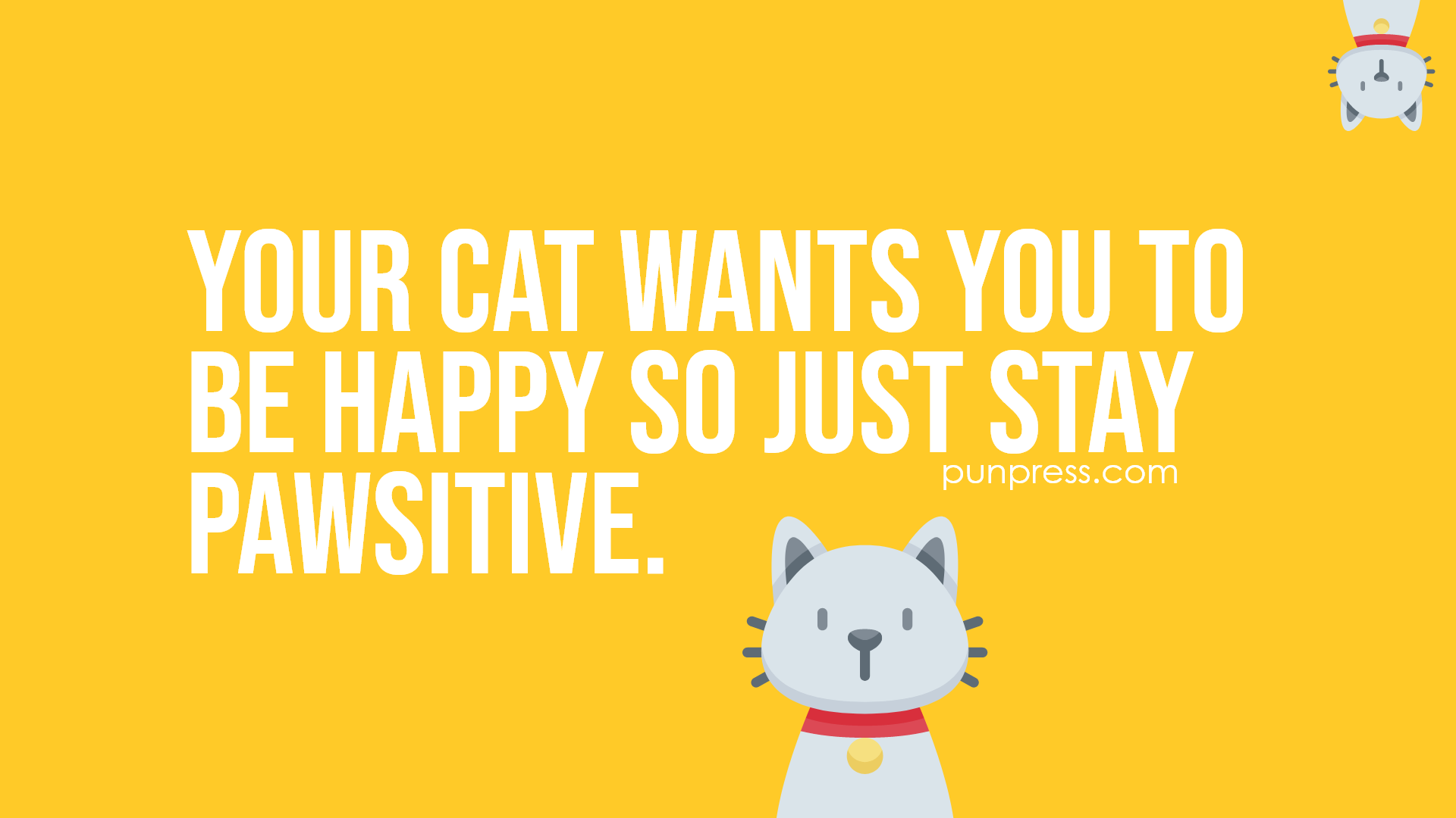 50 Cat Puns That Are Purrfectly Funny - PunPress