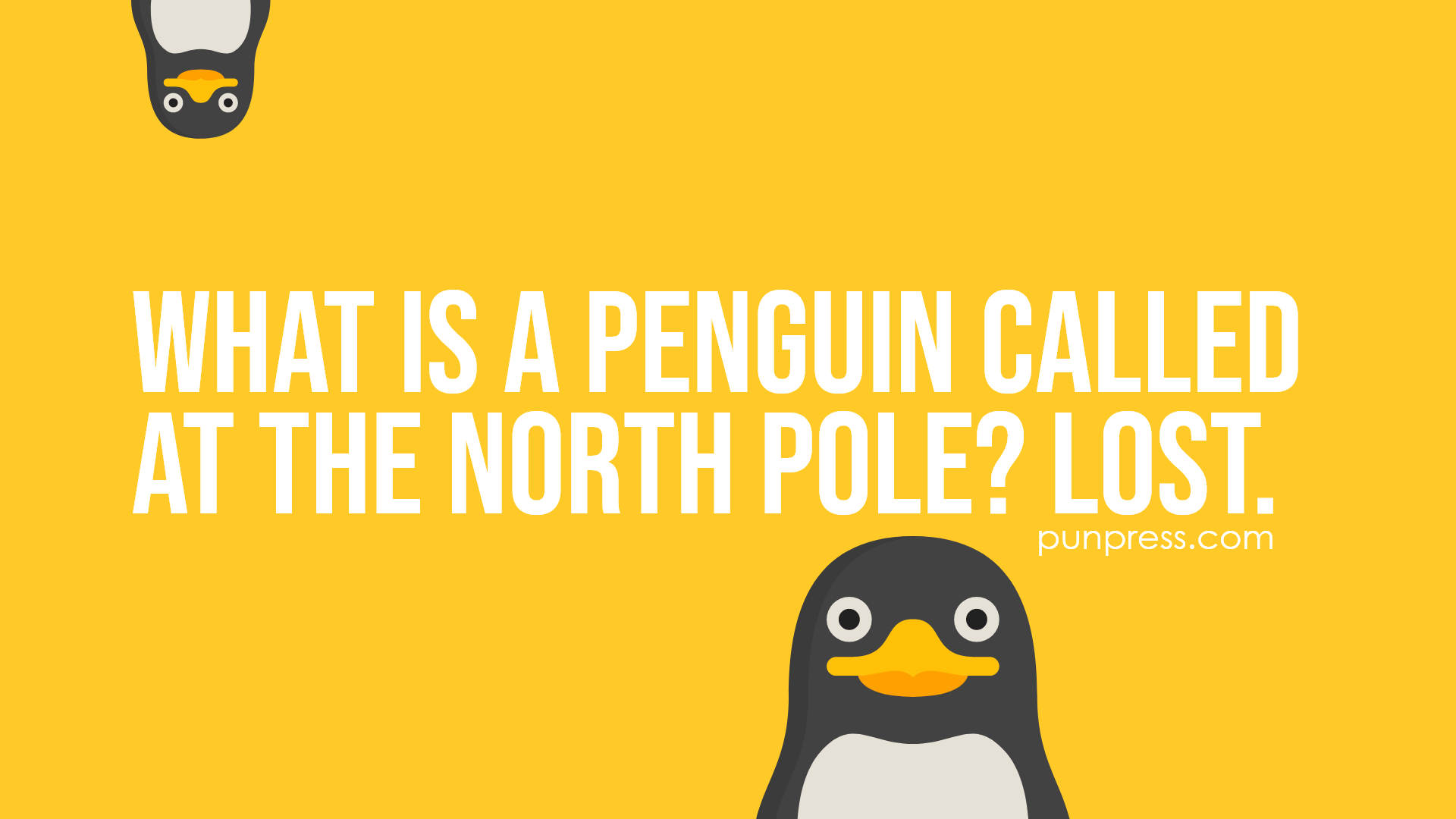 51 Penguin Puns That Will Keep Your Time Laughing Frozen