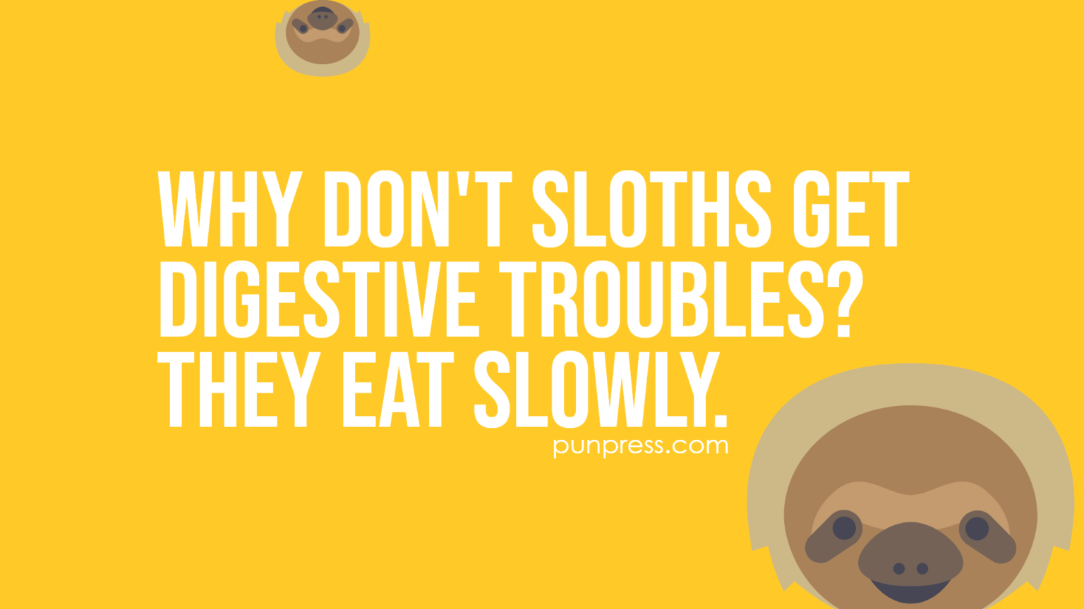 50 Sloth Puns That Will Slowly Make You Laugh - PunPress