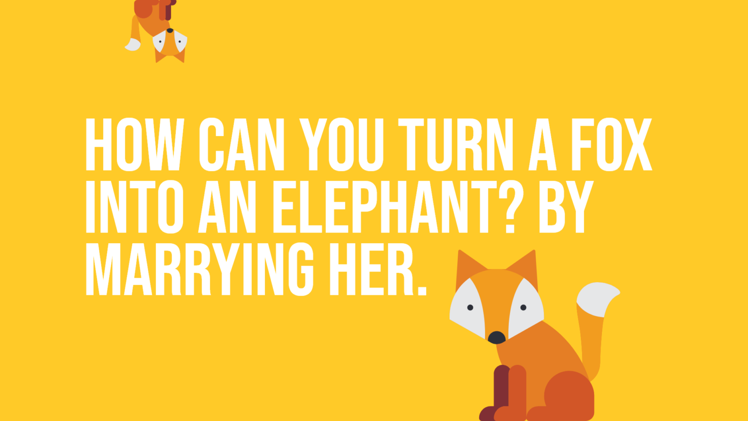 51 Fox Puns That Seem Sly - PunPress