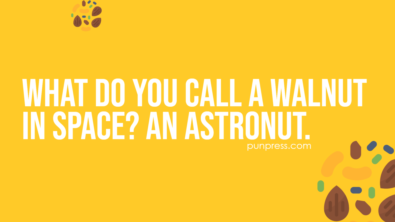 50 Nut Puns That Are Quite Nutty - PunPress