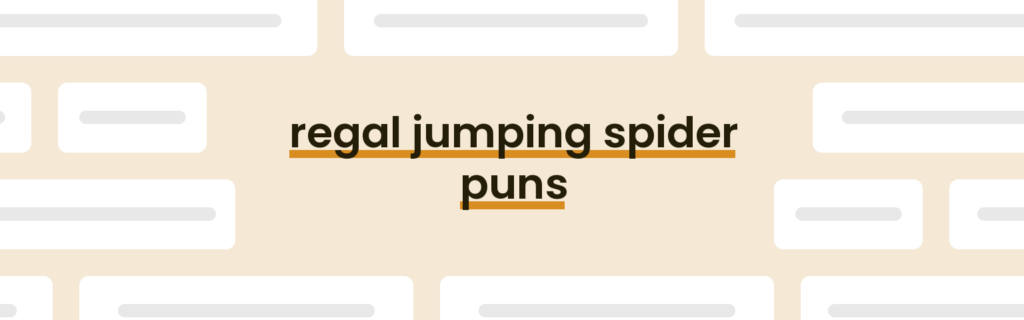 20 Best Regal Jumping Spider Puns for 2025 [Updated June] - PunPress