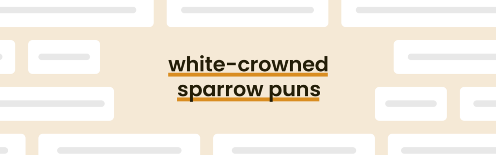 21 Best White-crowned Sparrow Puns for 2025 [Updated June] - PunPress